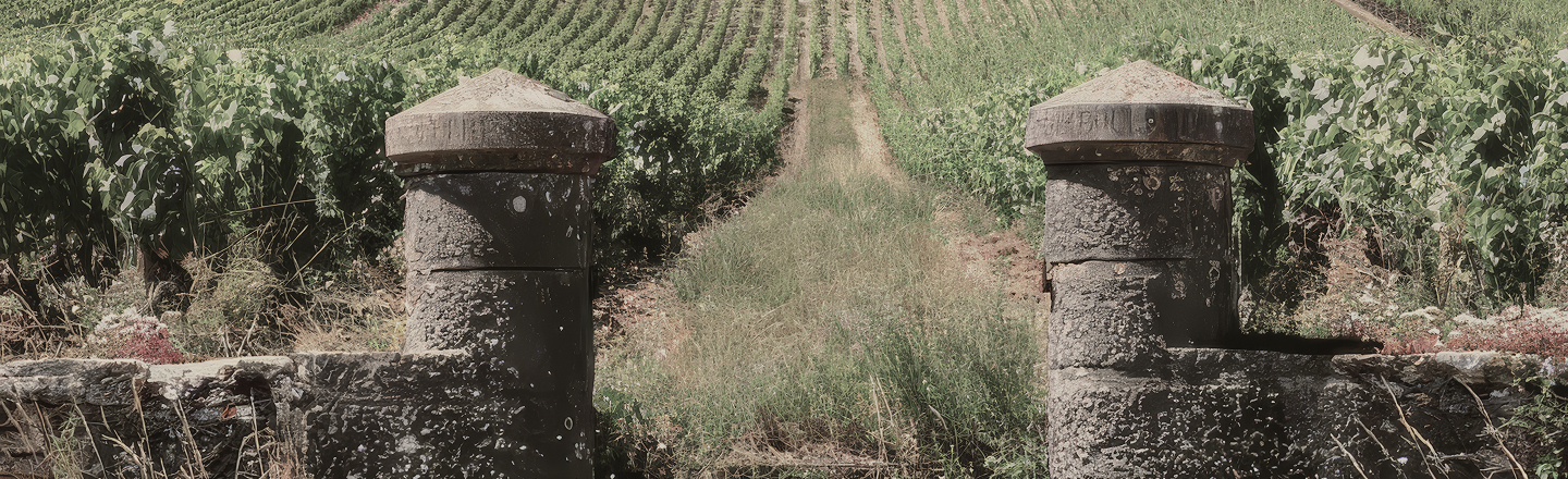 Винный клуб «Знакомство с Burgundy ru» | 06.03.25 | Москва